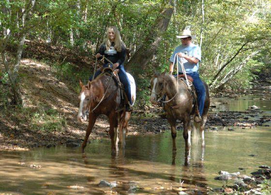 Banks County Photography | Banks County Georgia