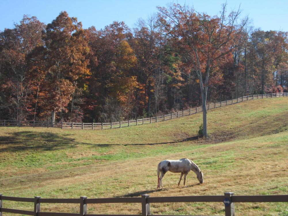 Grove River Ranch Equestrian Center & Retreat | Banks County Georgia